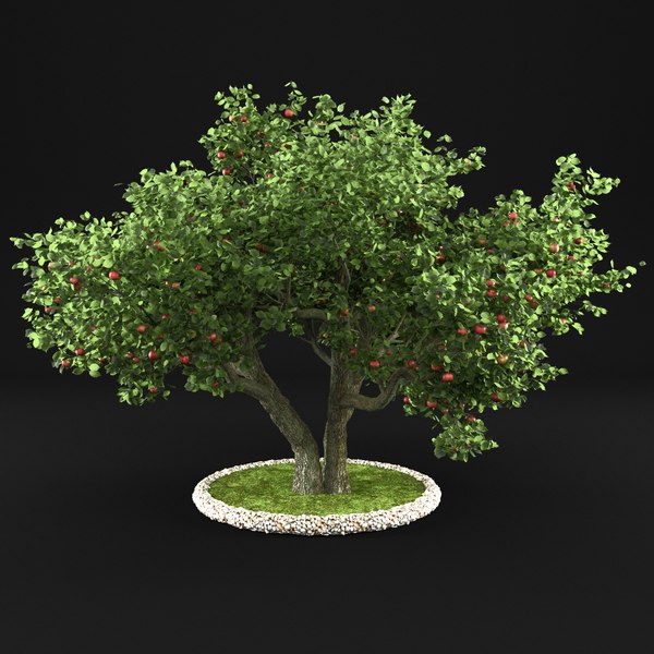 3D apple tree model - TurboSquid 1159257