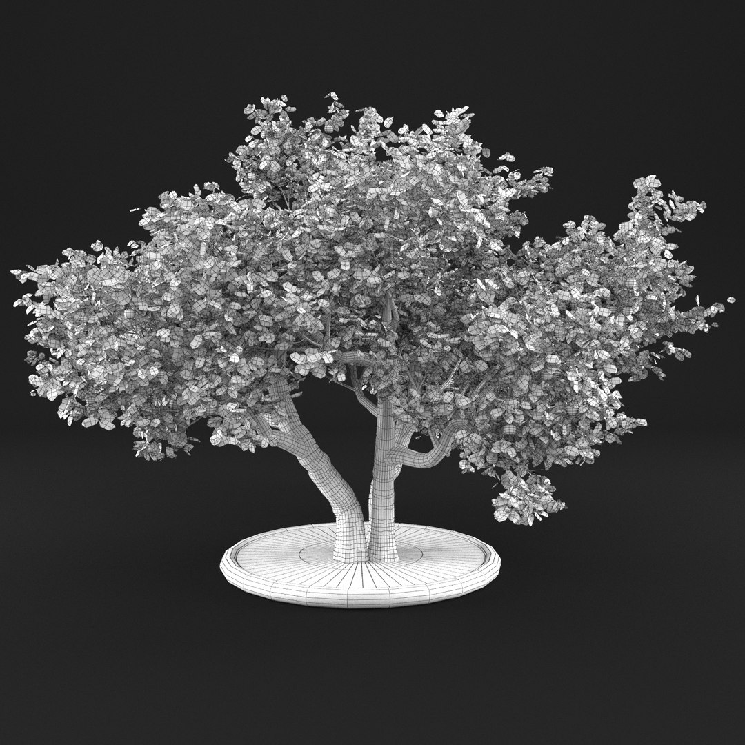 3D Apple Tree Model - TurboSquid 1159257