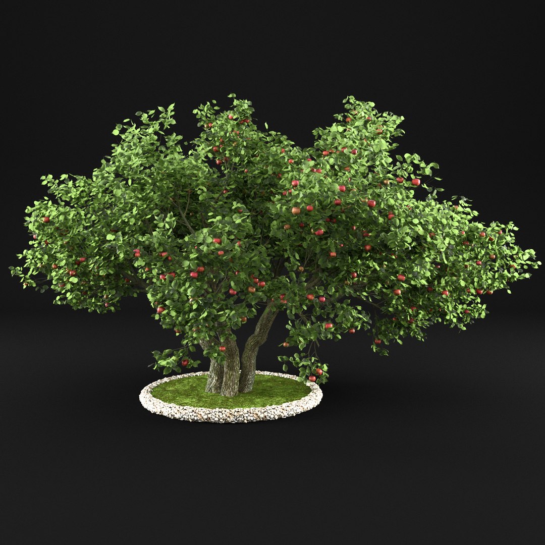 3D Apple Tree Model - TurboSquid 1159257