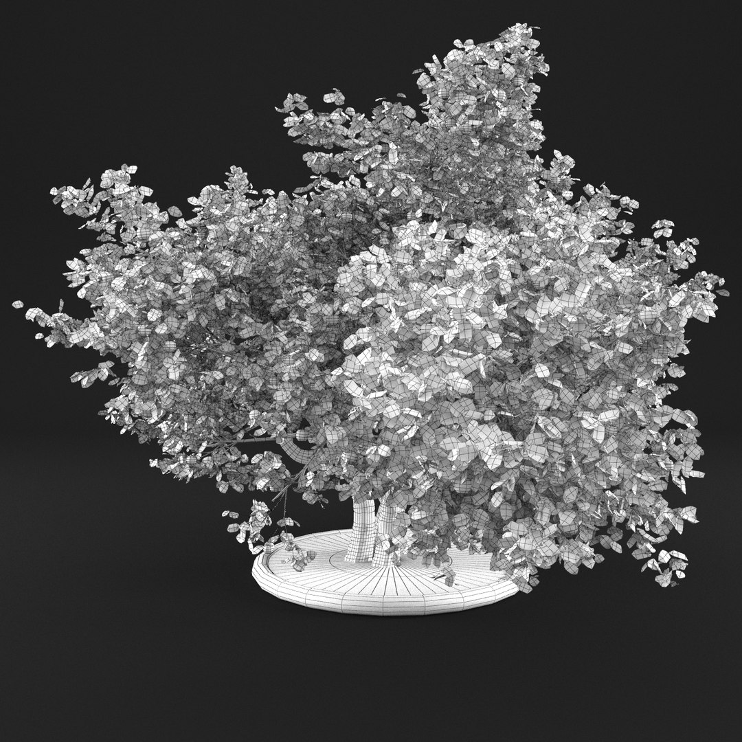 3D Apple Tree Model - TurboSquid 1159257