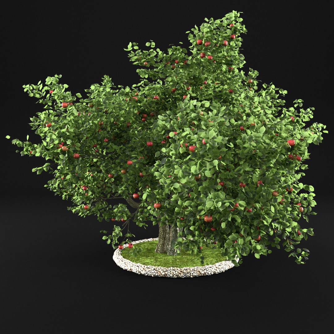 3D Apple Tree Model - TurboSquid 1159257