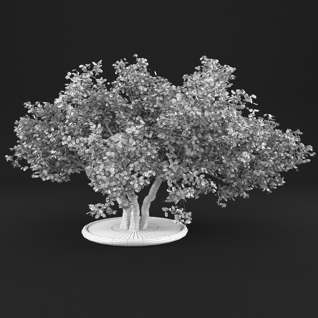 3D Apple Tree Model - TurboSquid 1159257