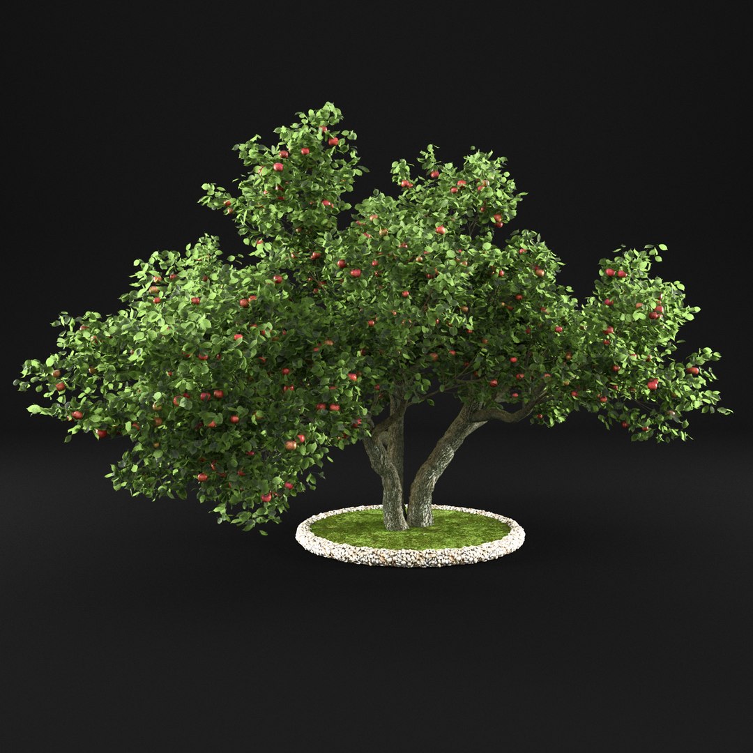 3D Apple Tree Model - TurboSquid 1159257