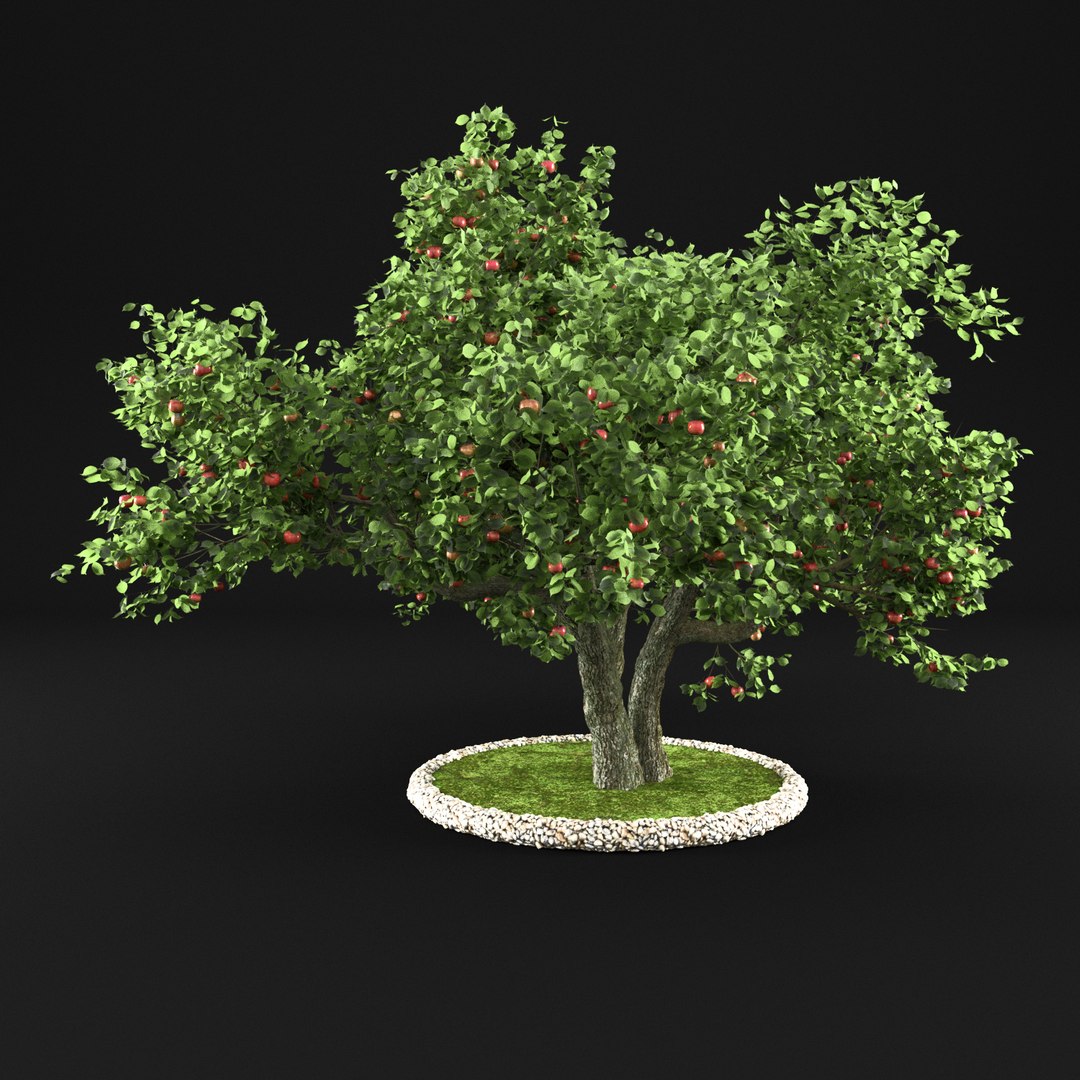 3D Apple Tree Model - TurboSquid 1159257