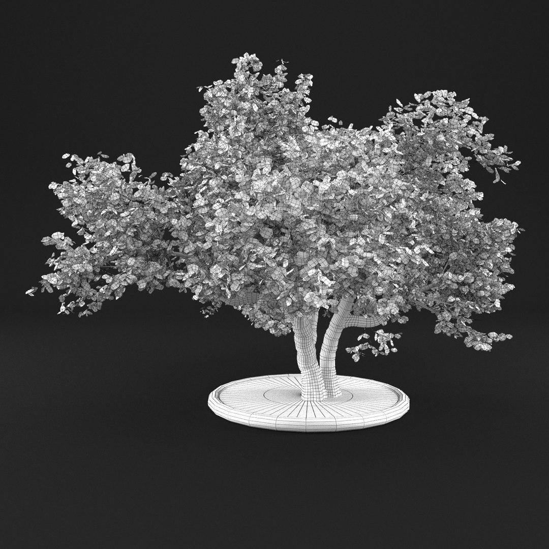 3D Apple Tree Model - TurboSquid 1159257