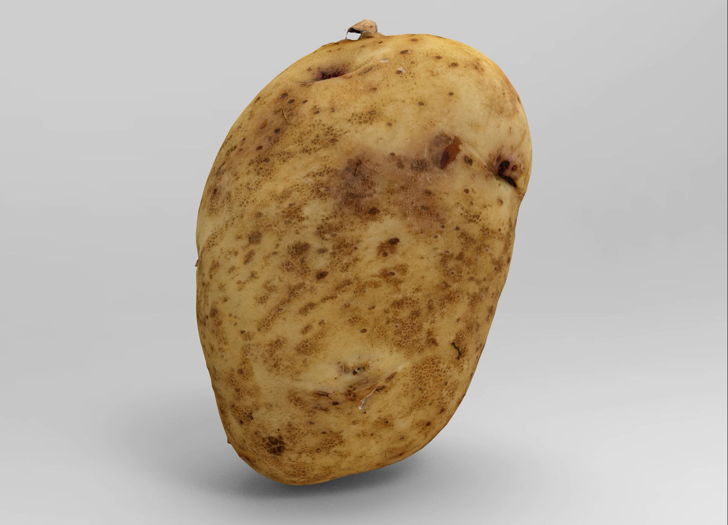 Potato 3D - TurboSquid 1945683