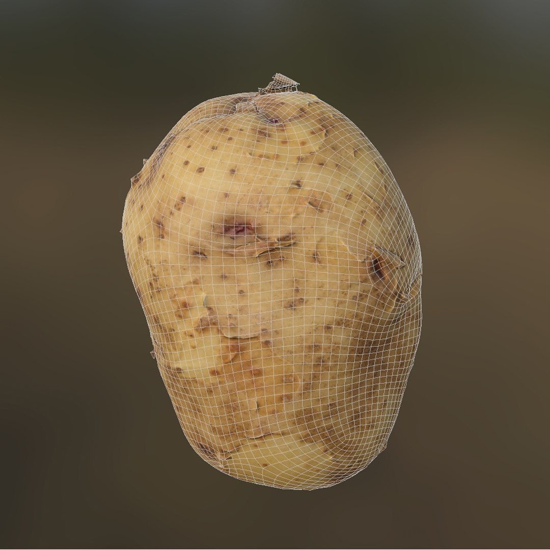 Potato 3D - TurboSquid 1945683