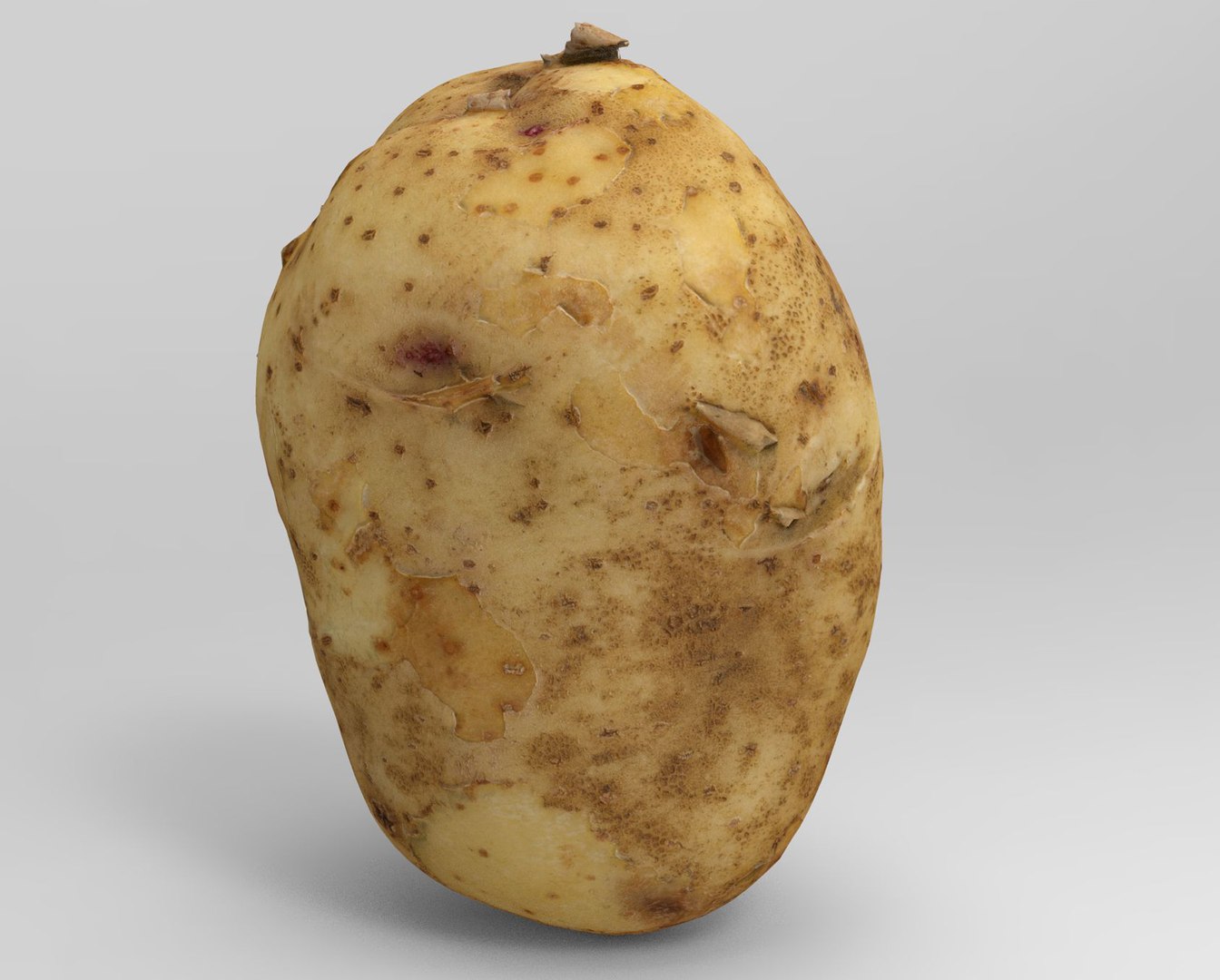 Potato 3D - TurboSquid 1945683