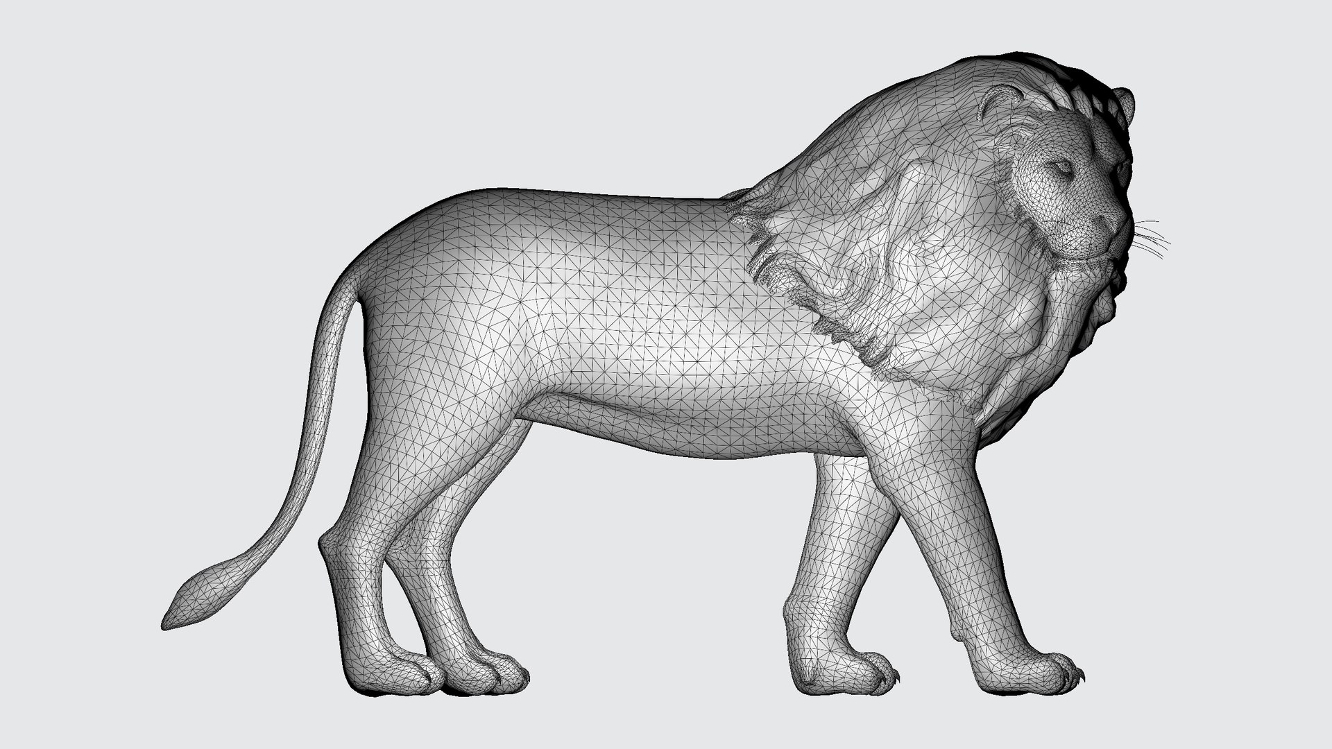 Lion Model - TurboSquid 2305726