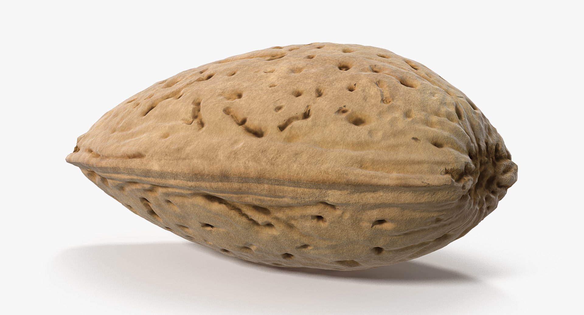 3D Model Raw Almond Shell - TurboSquid 1426298