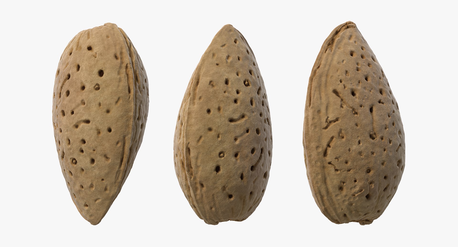 3D Model Raw Almond Shell - TurboSquid 1426298