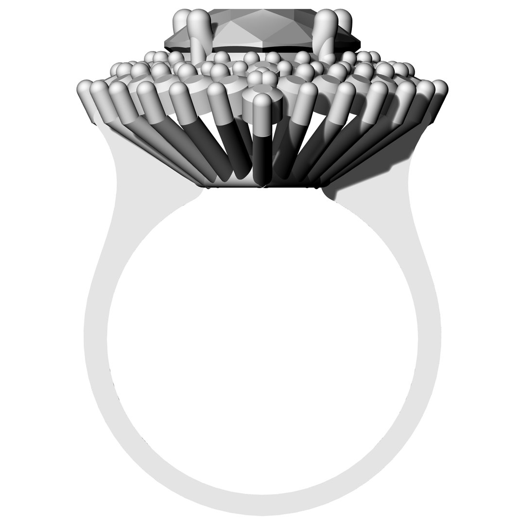 3D Ring Matrix Rhino - TurboSquid 1707048