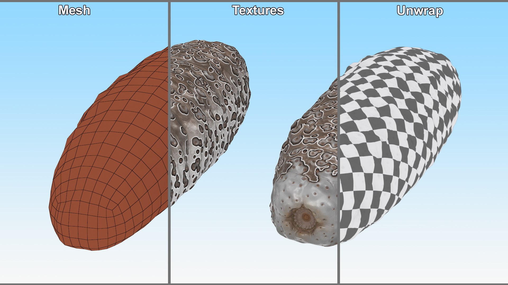 3D Trepang Brown Rigged Model - TurboSquid 2300558