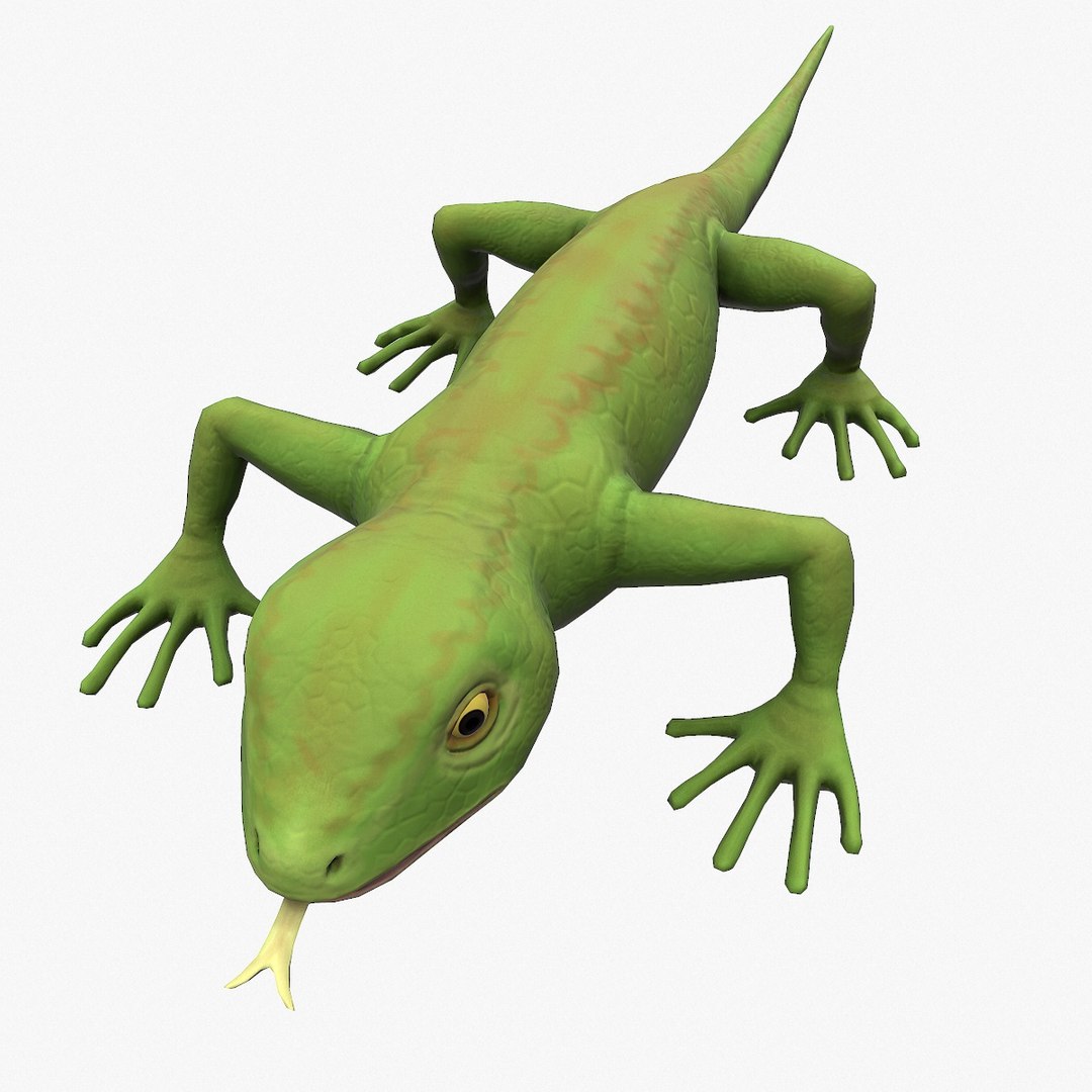 3D model lizard - TurboSquid 1261677