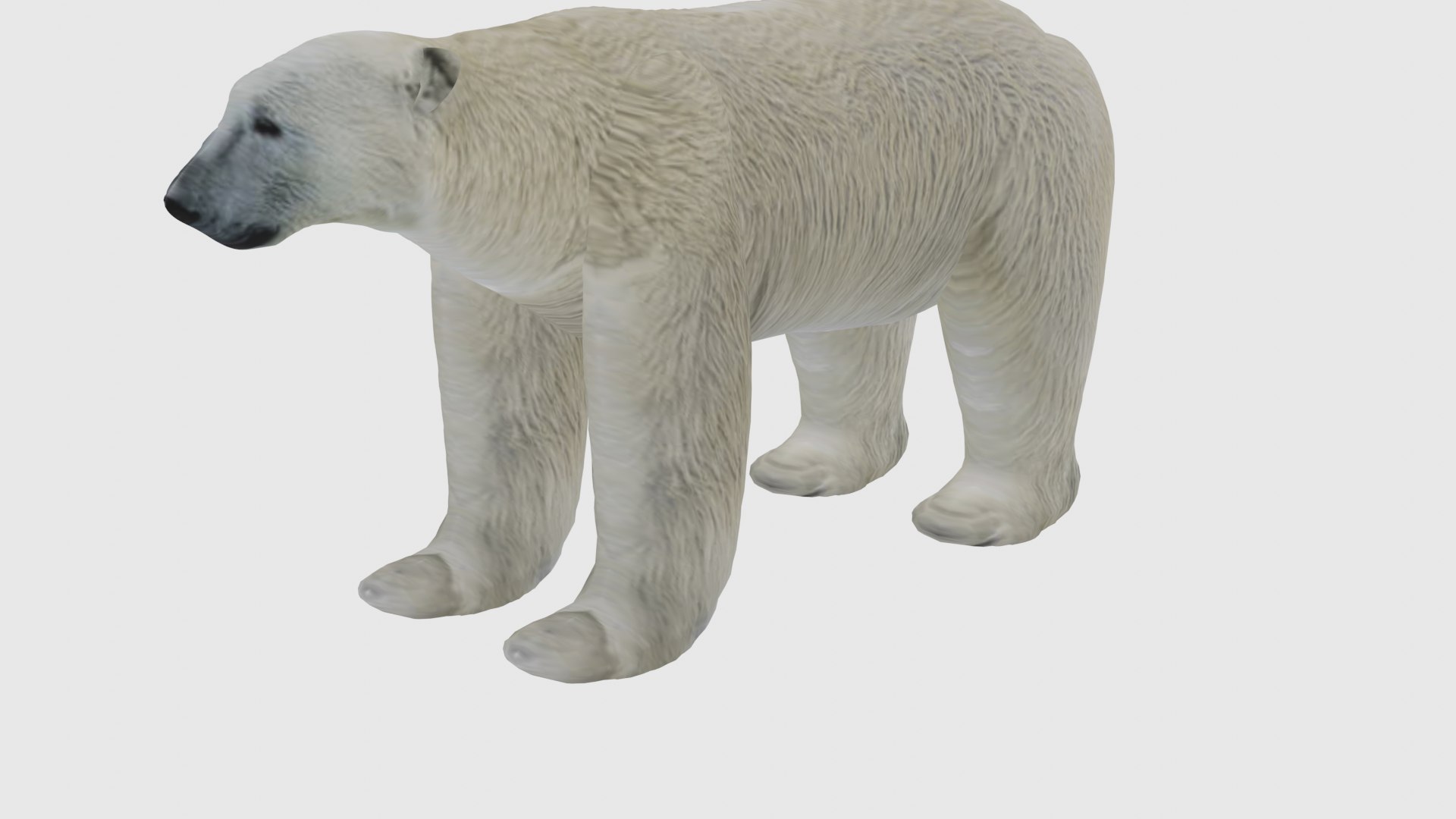 3D Low Poly Polar Bear Rigged With Realistic Texture - TurboSquid 1876151