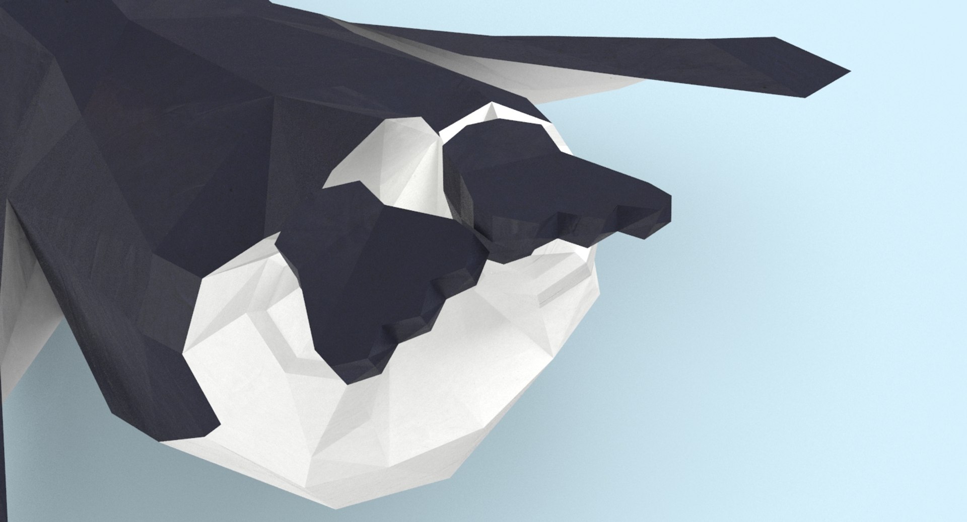 3D Model Penguin----jumping - TurboSquid 1186145