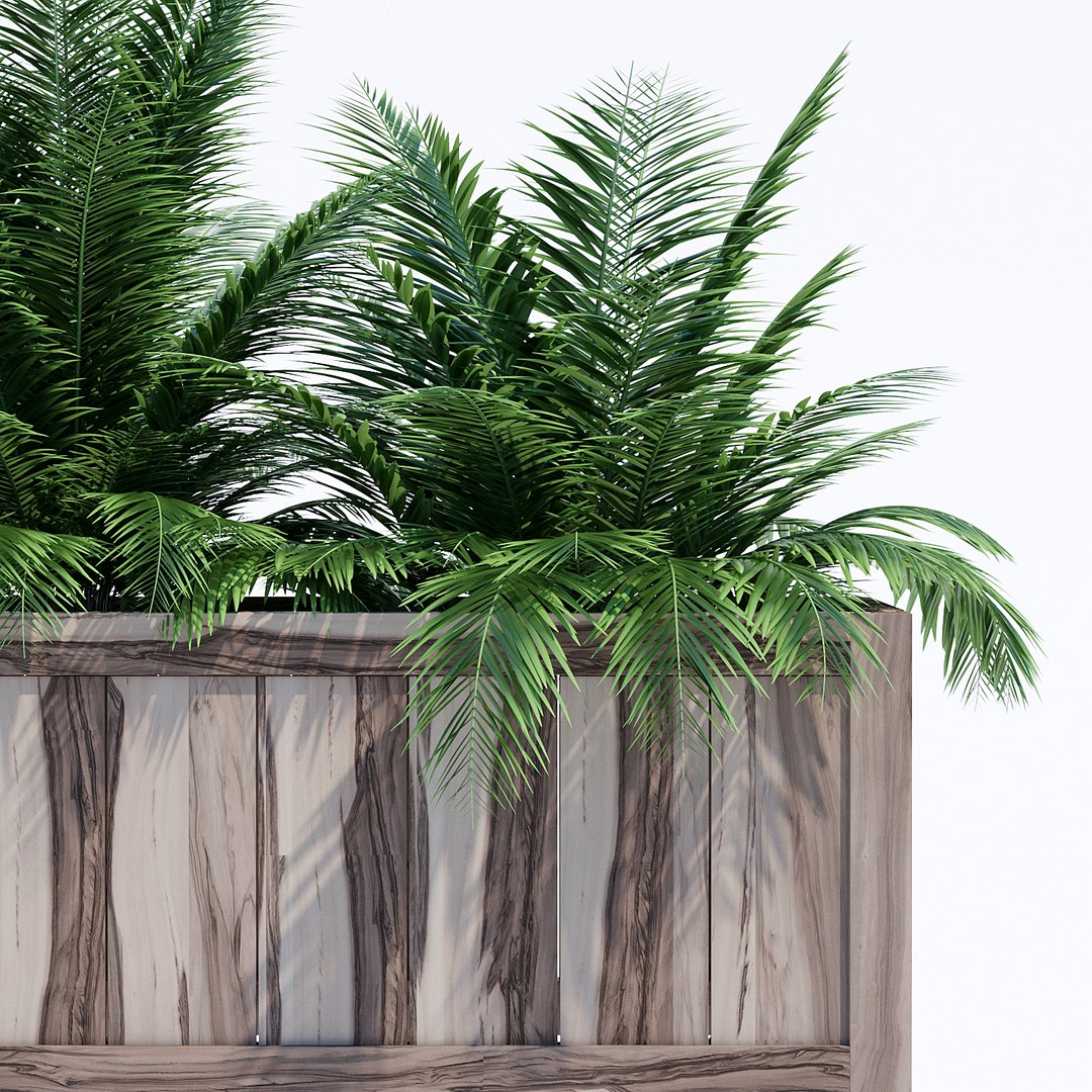 Flower box 3D model - TurboSquid 1435557