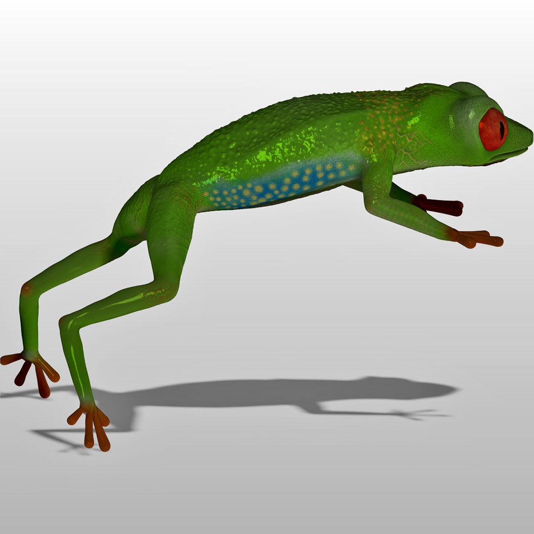 green tree frog 3d model