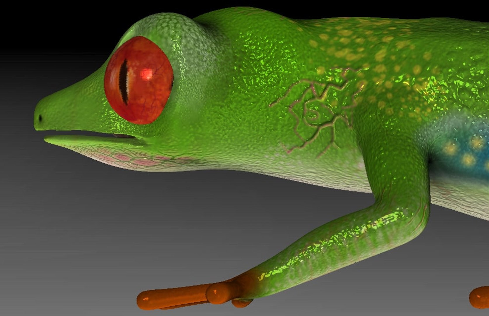 green tree frog 3d model
