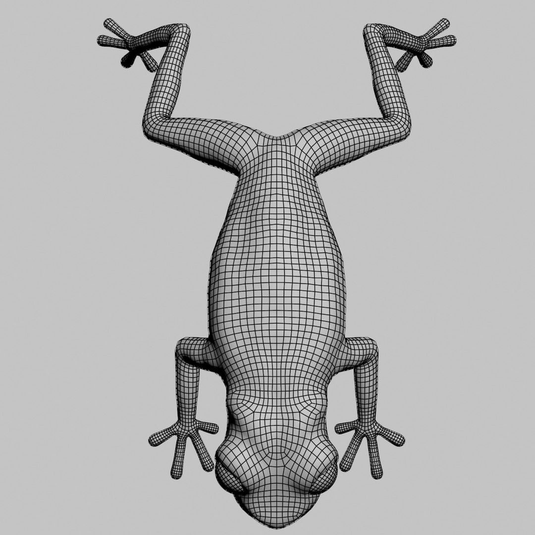 green tree frog 3d model