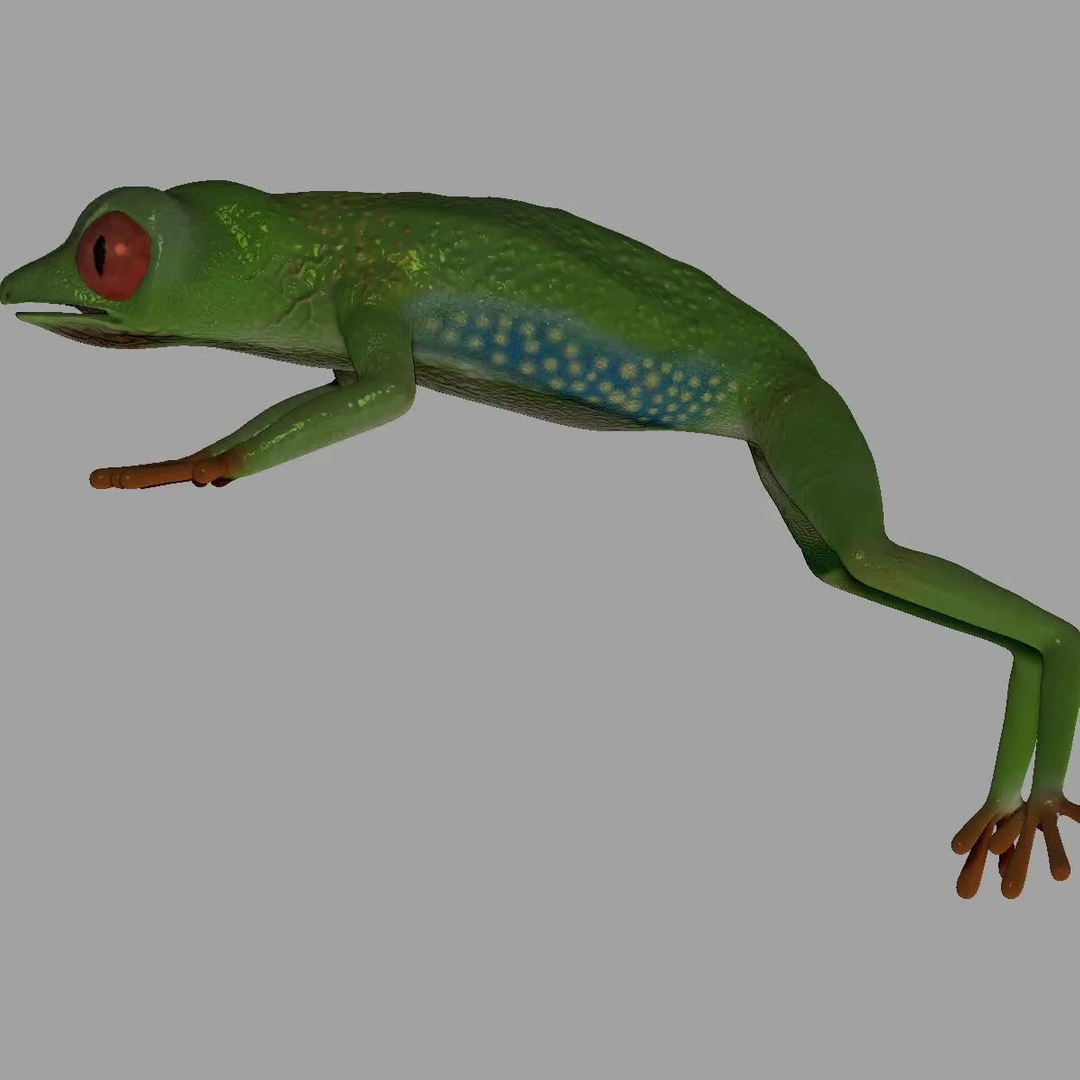 green tree frog 3d model