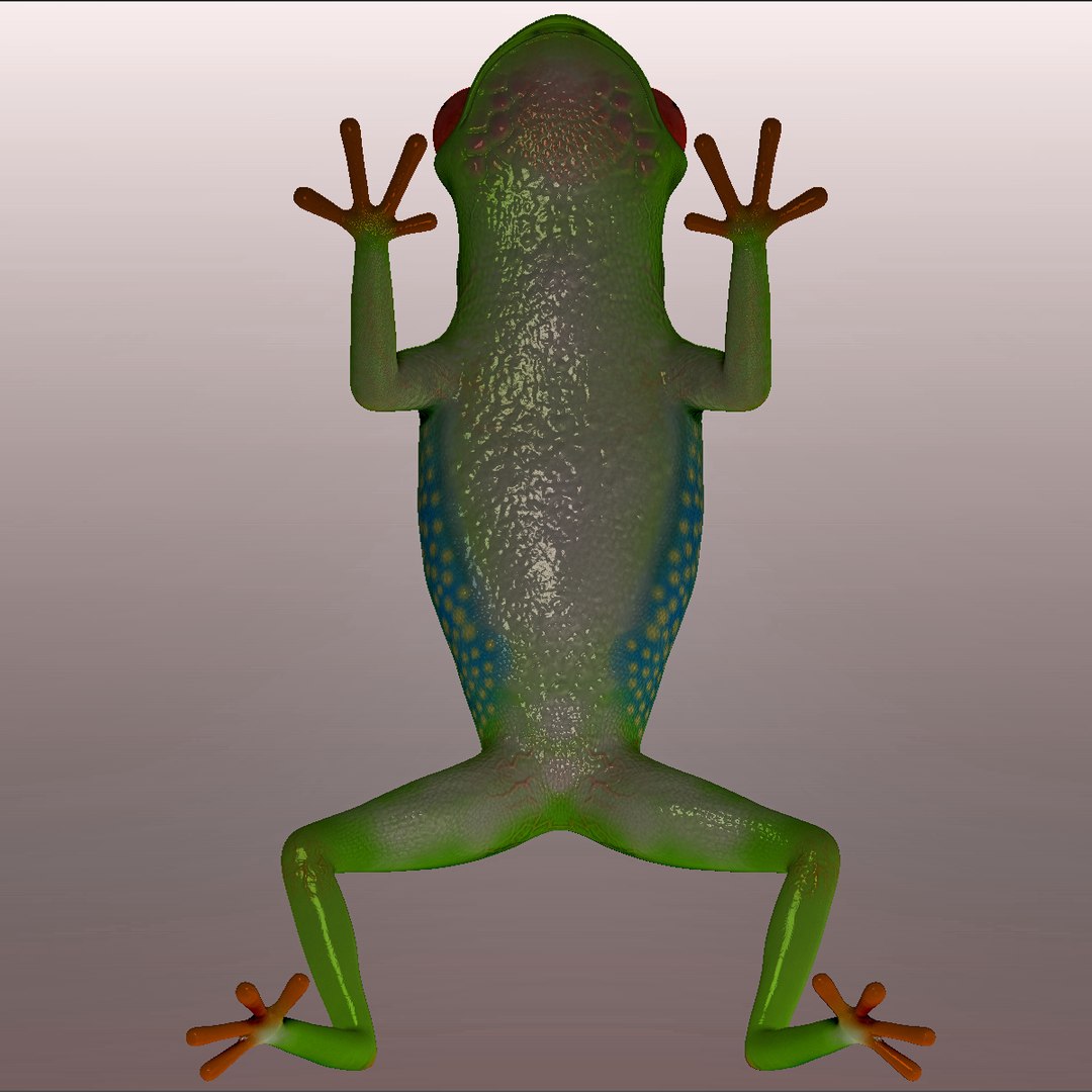 green tree frog 3d model