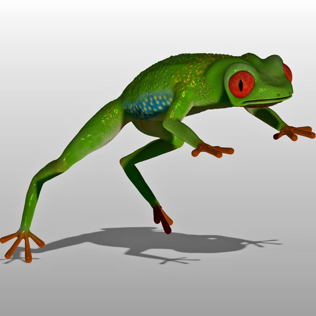 green tree frog 3d model
