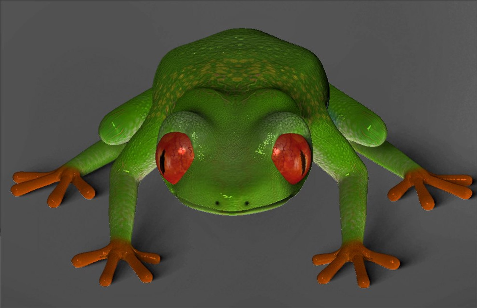 green tree frog 3d model