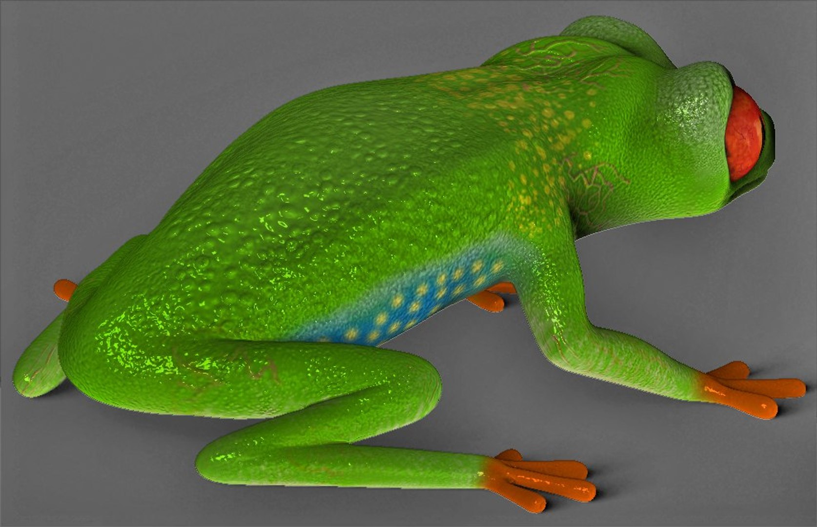 green tree frog 3d model