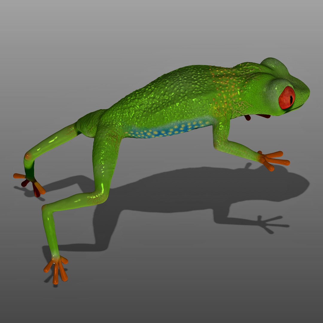 green tree frog 3d model