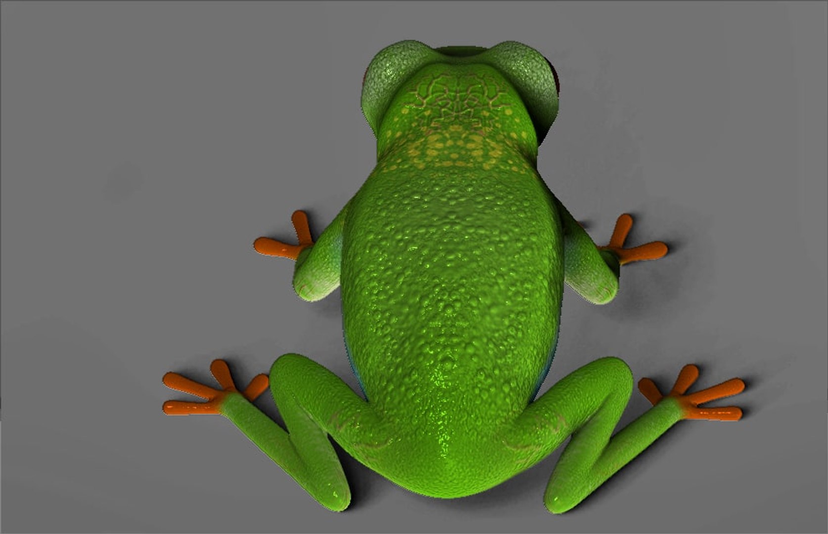 green tree frog 3d model