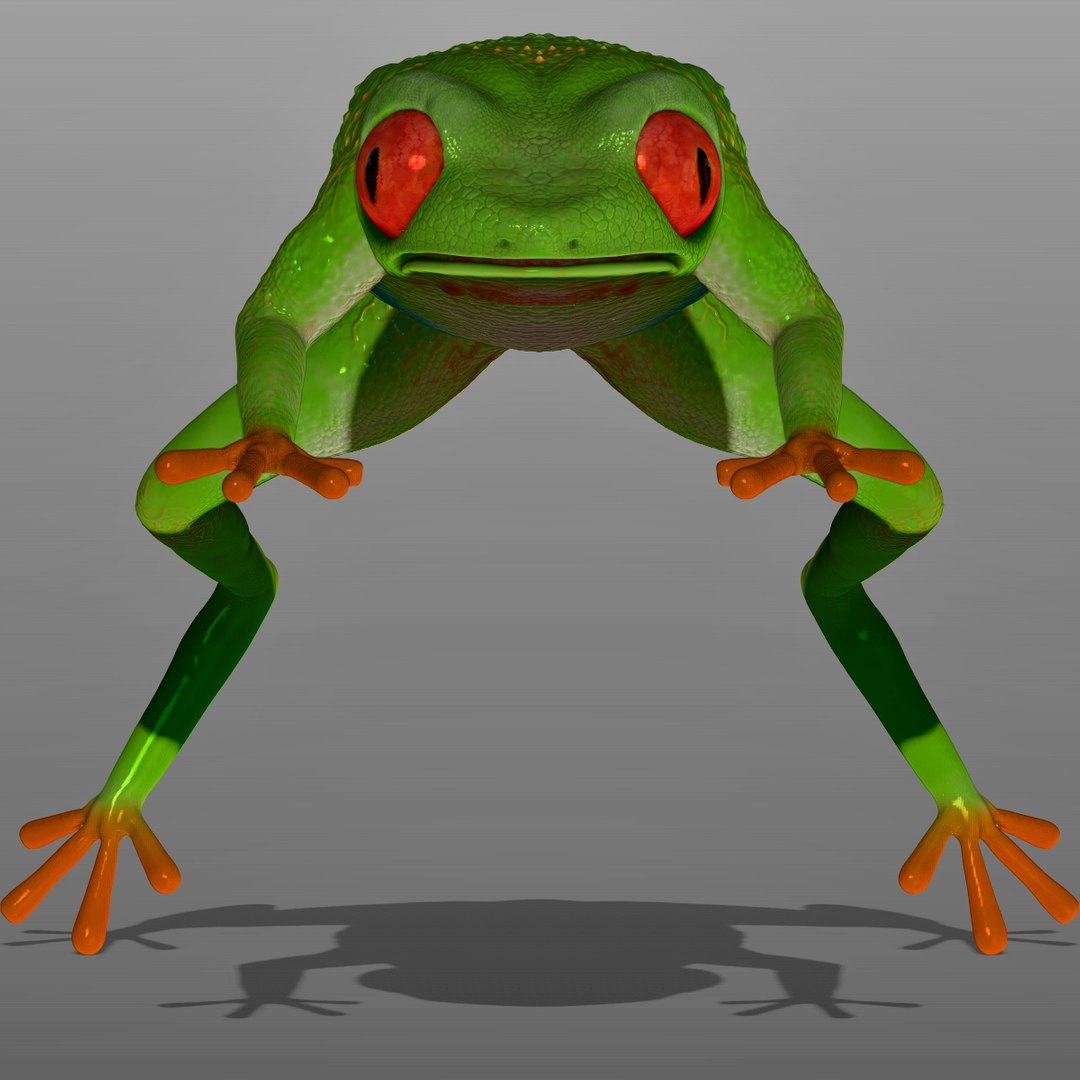 green tree frog 3d model