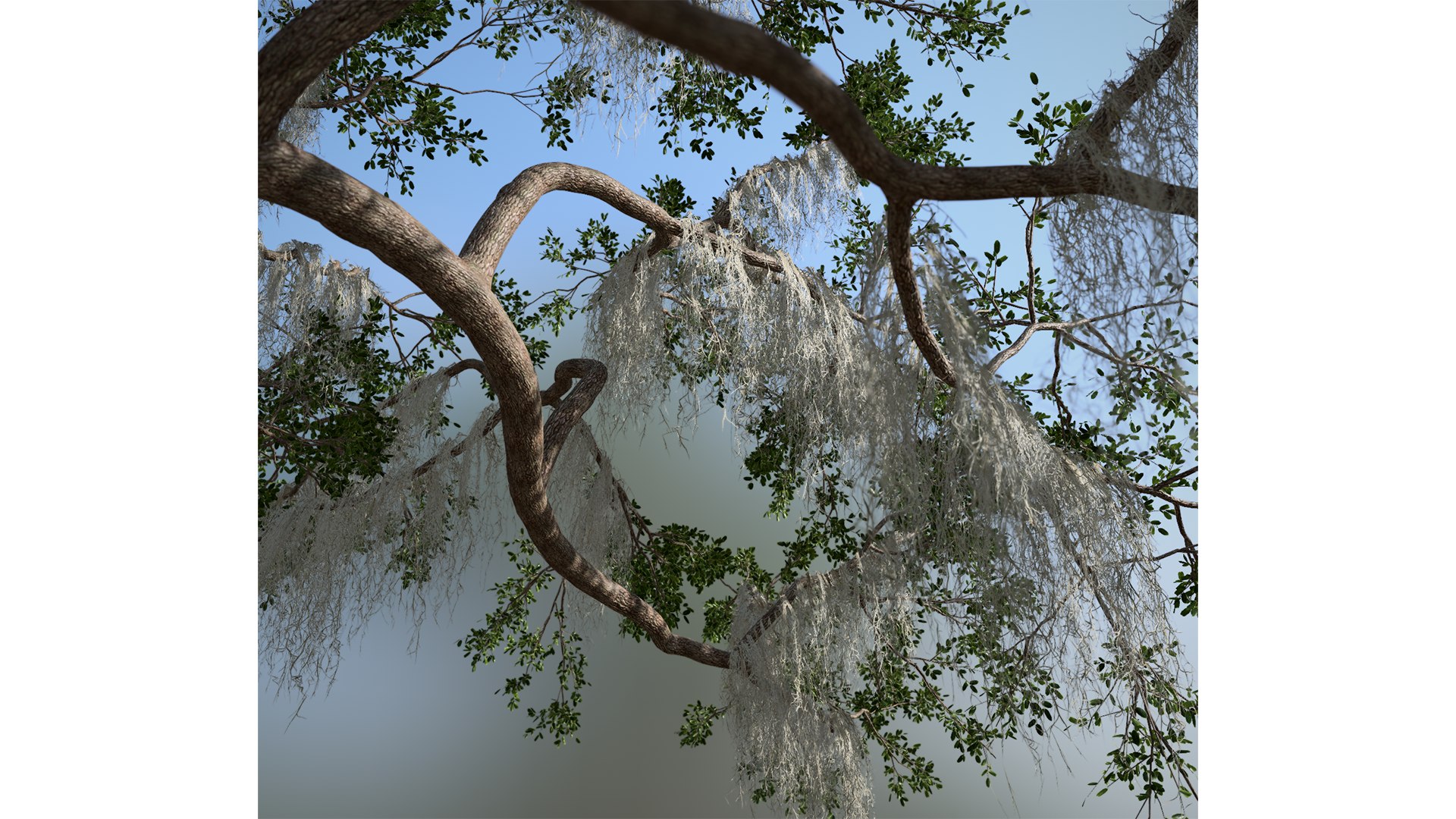 3D New Plant High Detail Angel Oak Live Tree Spanish Moss Fractal ...