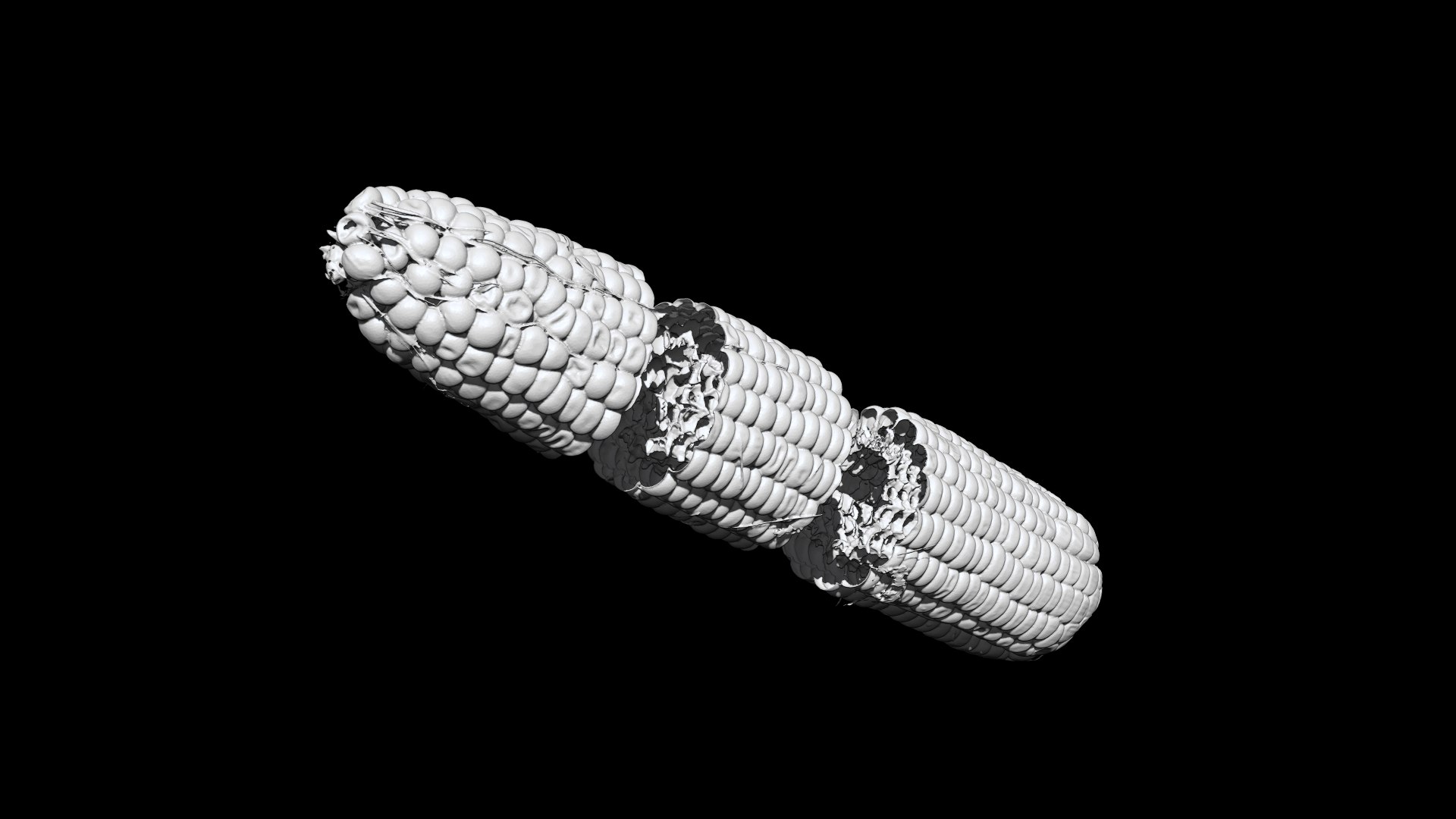 Corn 3D CT Scan Model Cut2 Decimate 50 Percent 3D Model - TurboSquid ...