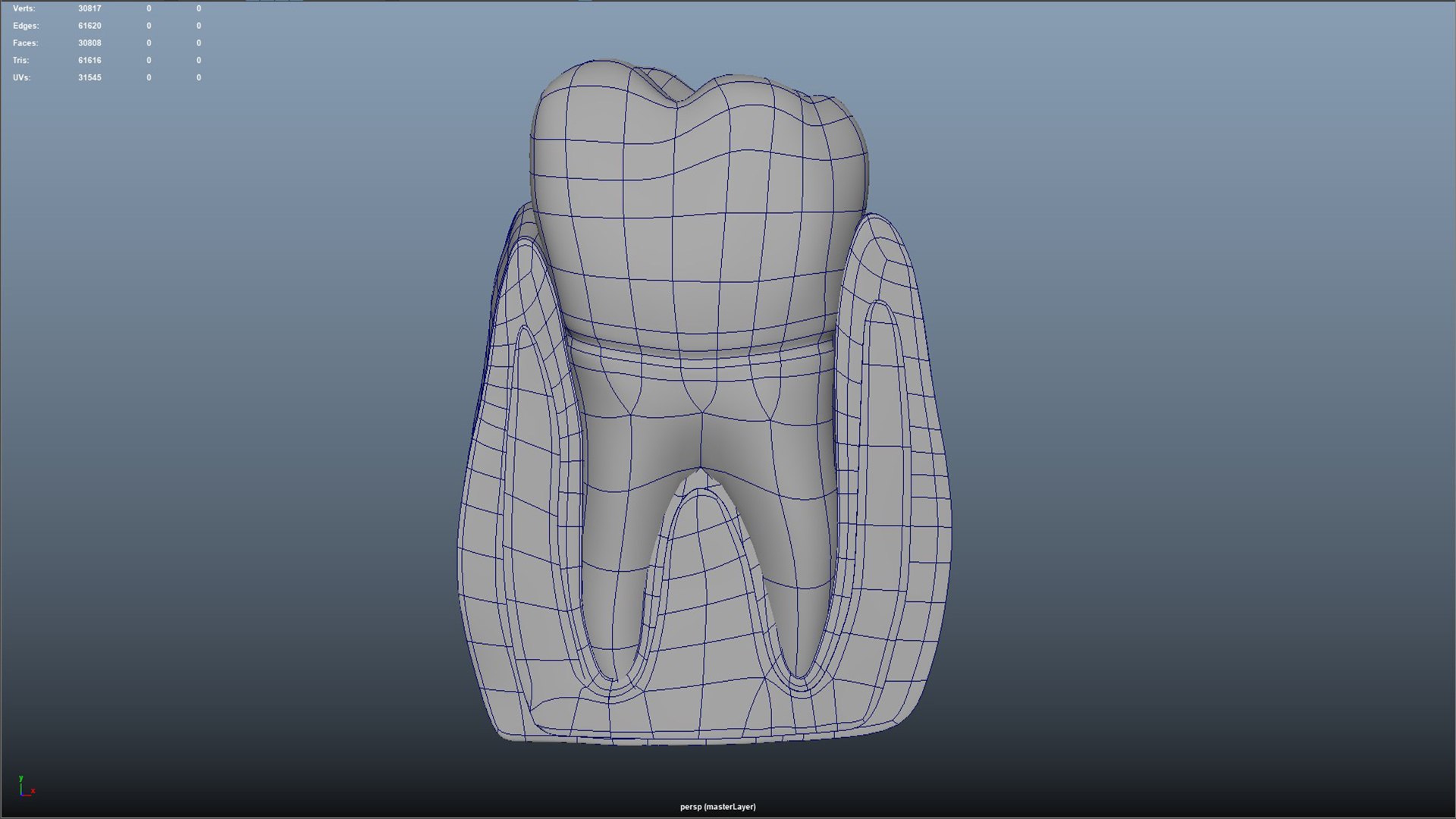 3D Periodontal Membrane And Gums Gingiva Model - TurboSquid 2189280