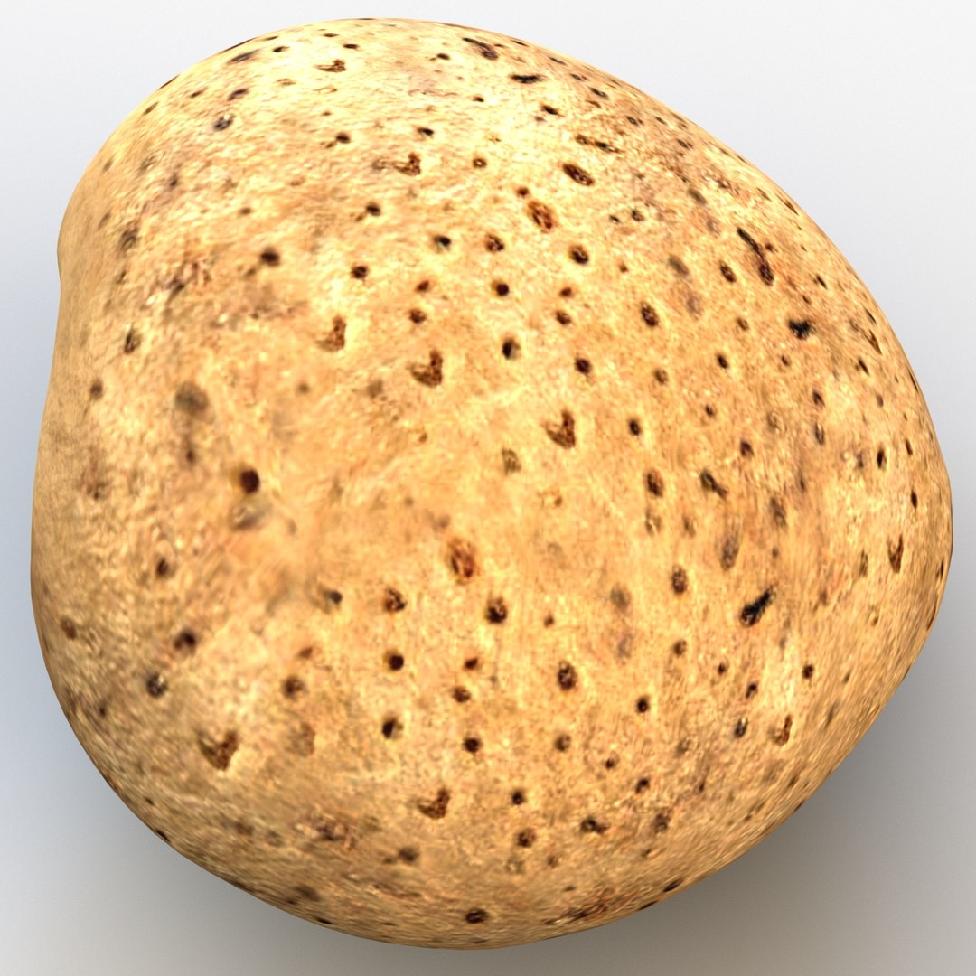 3d Mongongo Nut