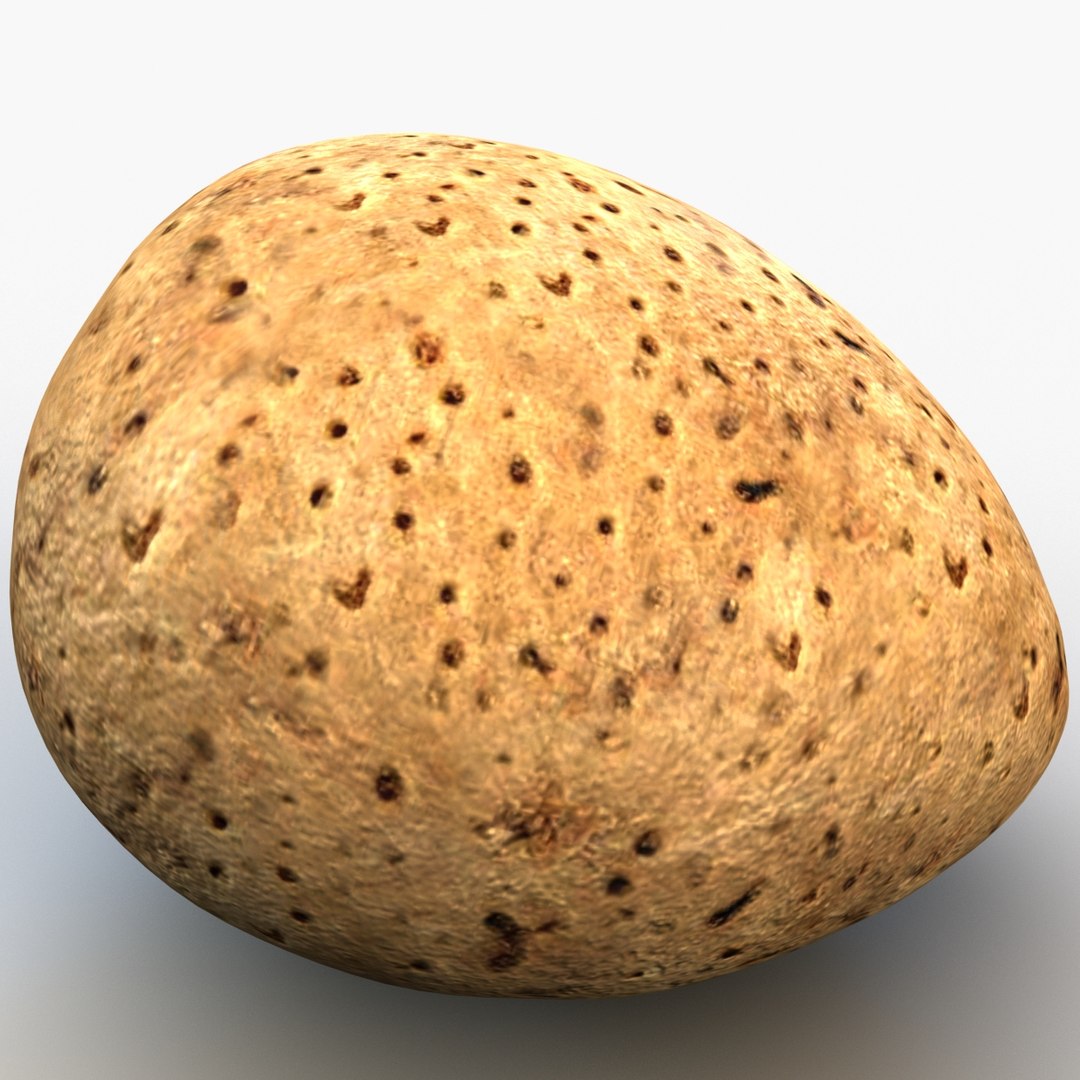 3d Mongongo Nut