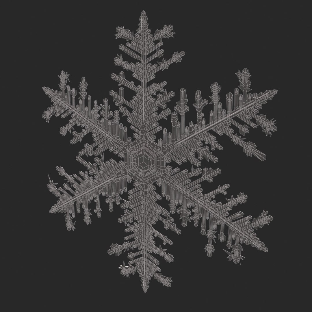 Max Snowflake 9
