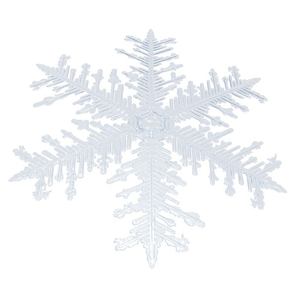 max snowflake 9