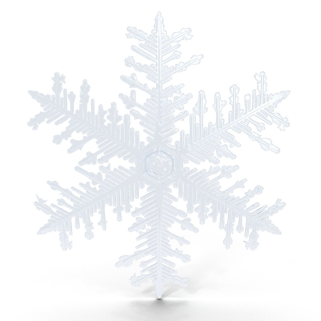 Max Snowflake 9