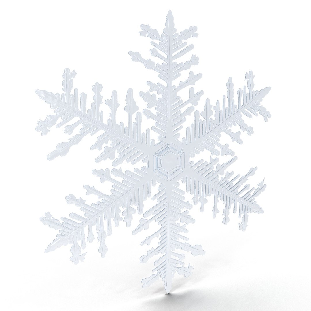 Max Snowflake 9