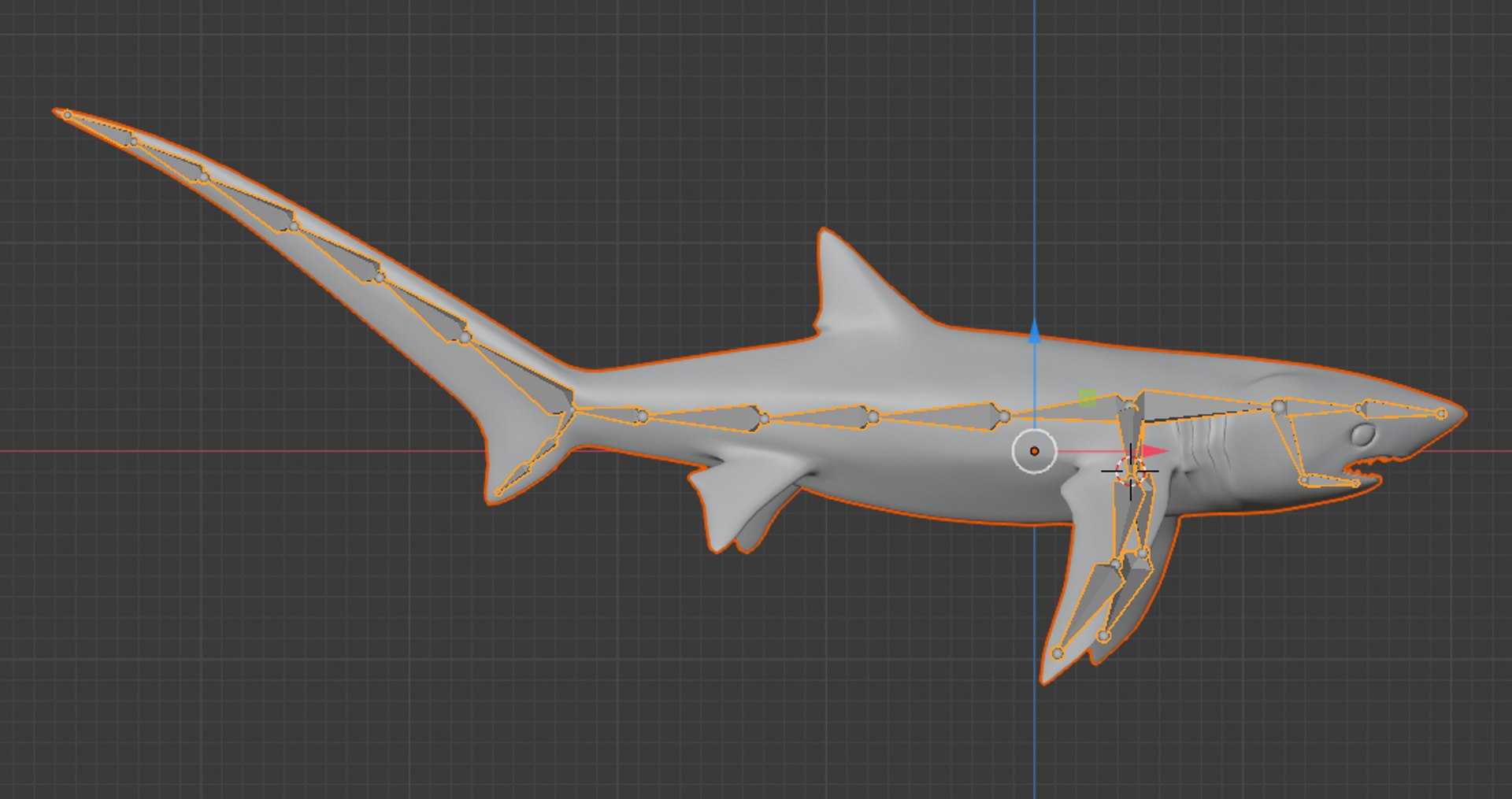 Thresher Shark 3D - TurboSquid 1619288