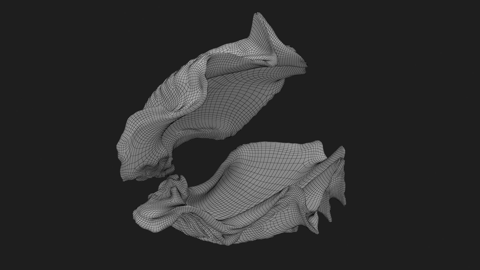 3D Giant Clam Shell Animated Model - TurboSquid 2306076