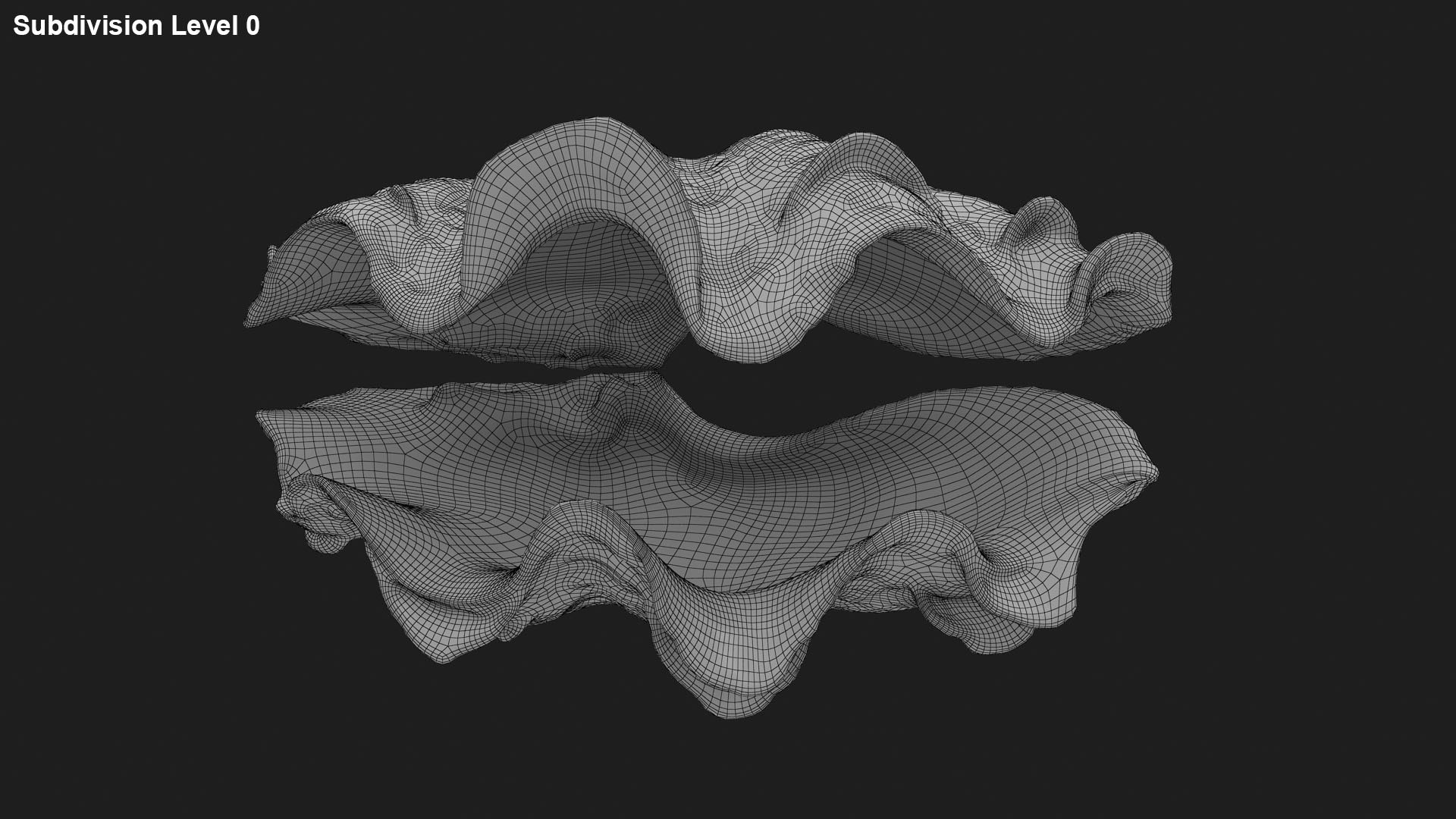 3D Giant Clam Shell Animated Model - TurboSquid 2306076