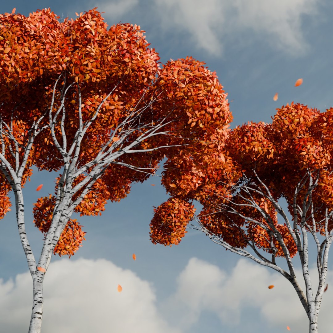 Autumn Birch Trees 3D Model - TurboSquid 2294534