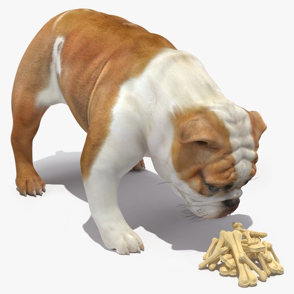 Free 3D Dog-Bone Models | TurboSquid