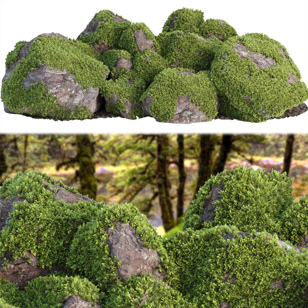3D Mossy Rock Garden Collection Vol 140 - TurboSquid 1984169