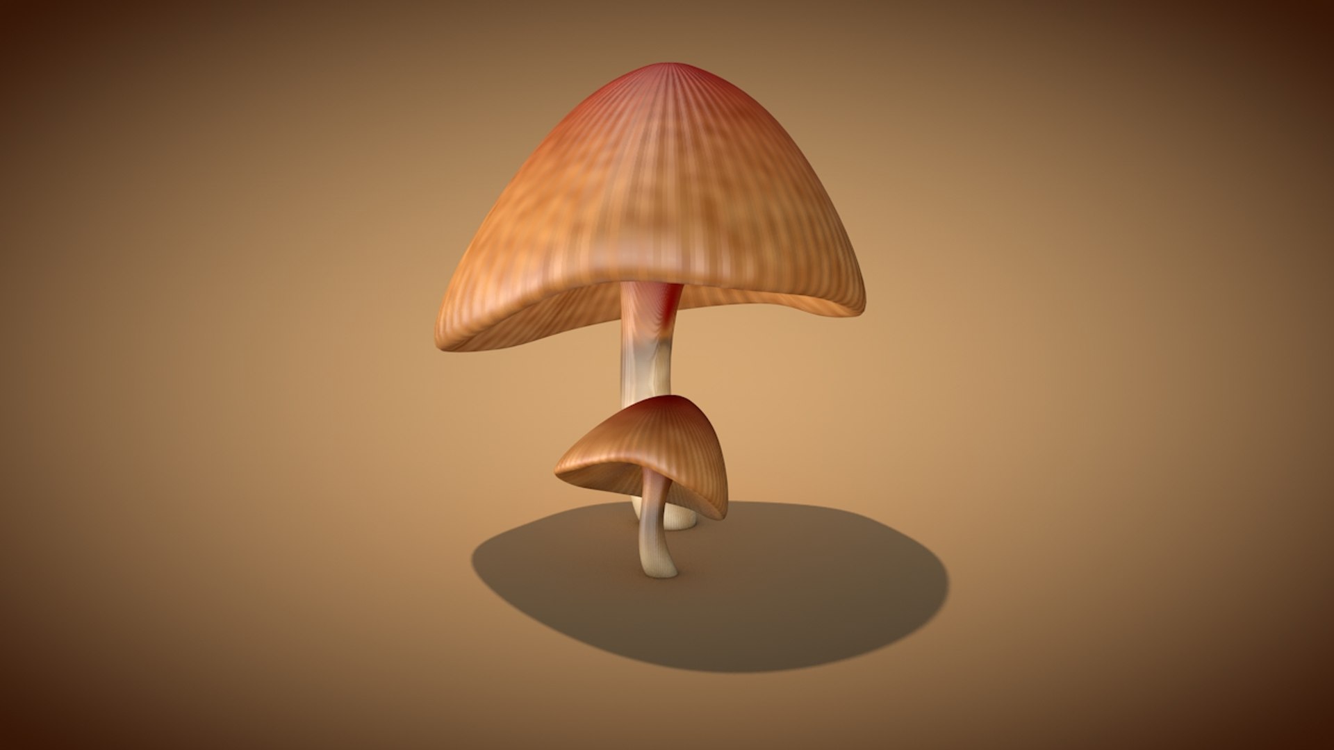 3D Mushroom Fungus Nature Model - TurboSquid 1679958