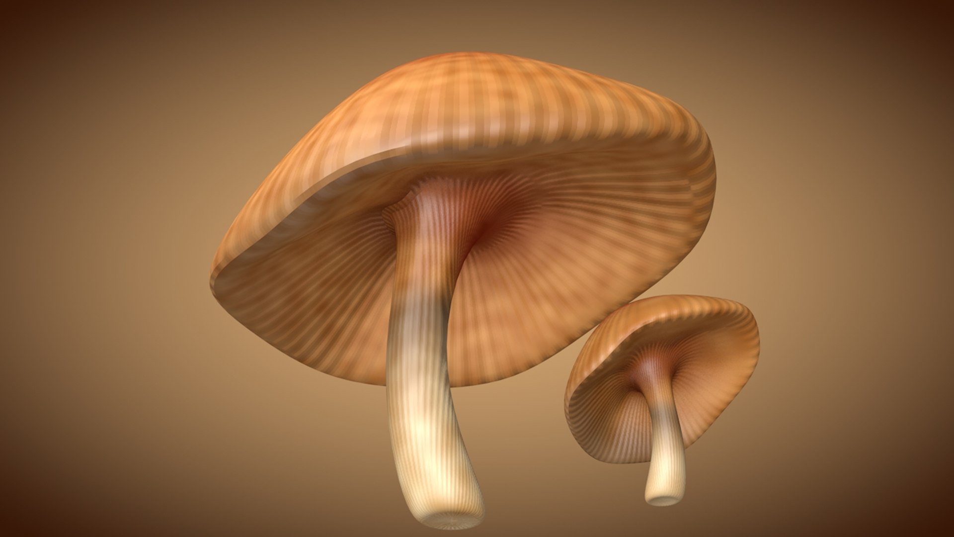 3D Mushroom Fungus Nature Model - TurboSquid 1679958