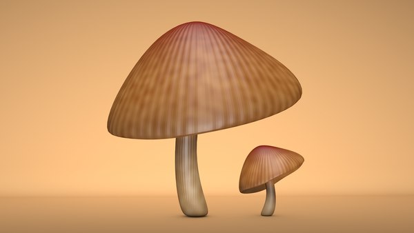 3D mushroom fungus nature model - TurboSquid 1679958